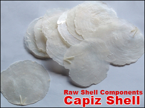 CapizRaw_Shells - Capiz Shells