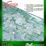 Capiz Shells | Philippines Capiz Shells