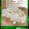 Capiz Shells | Philippines Capiz Shells